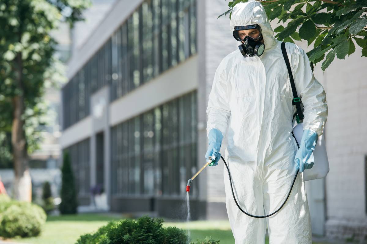 What Is Pest Management? Why Is It Important? What Are The Methods?